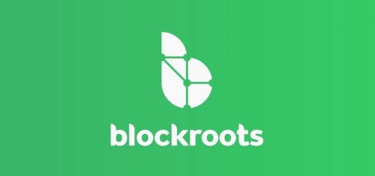 Blockroots The Foundation of Market Profile and Order Flow Trading Course - Foxtradeland