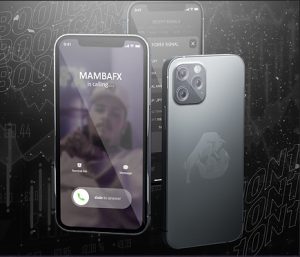 MambaFx 7 days BootCamp - Foxtradeland